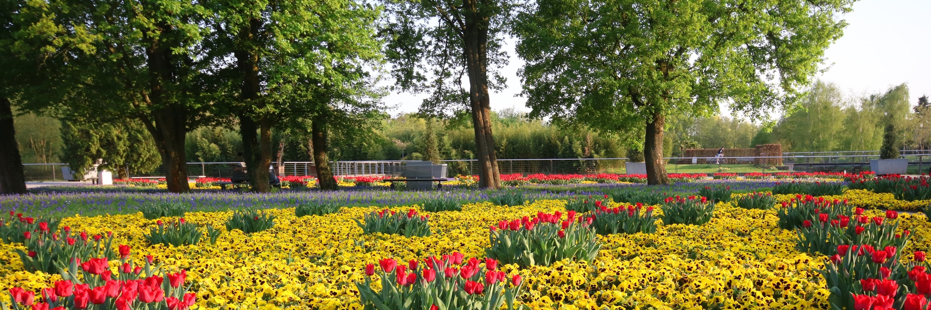 Der Park | Vier-Jahreszeiten-Park